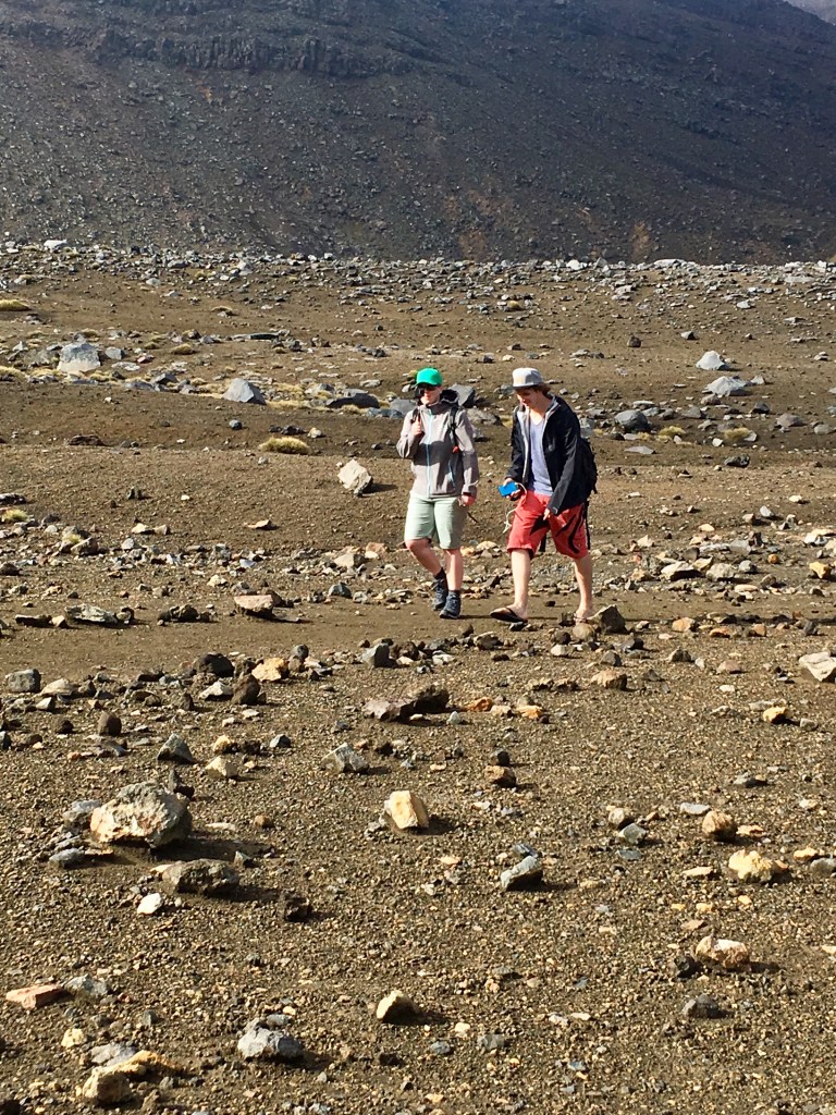 Tagesmotto: I will survive! – Rainbow Fireflies